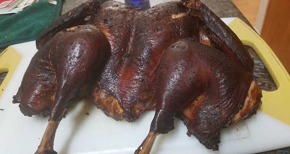 turkey – Life, the Universe, and WTF